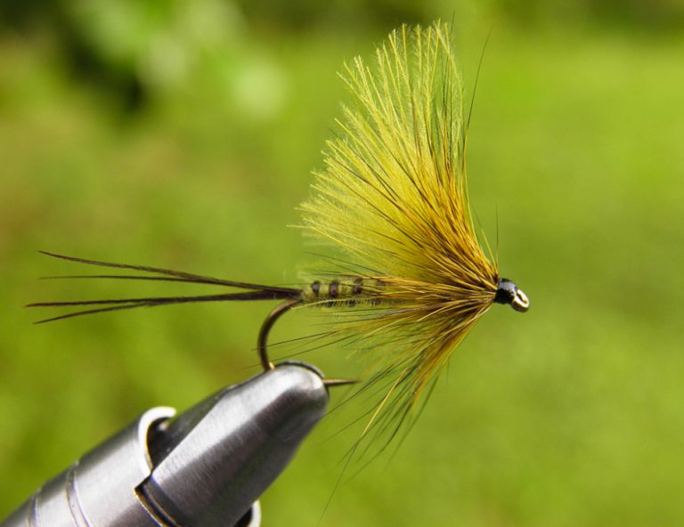 Ephemera Vulgata - Rodtrip - Fly fishing adventures
